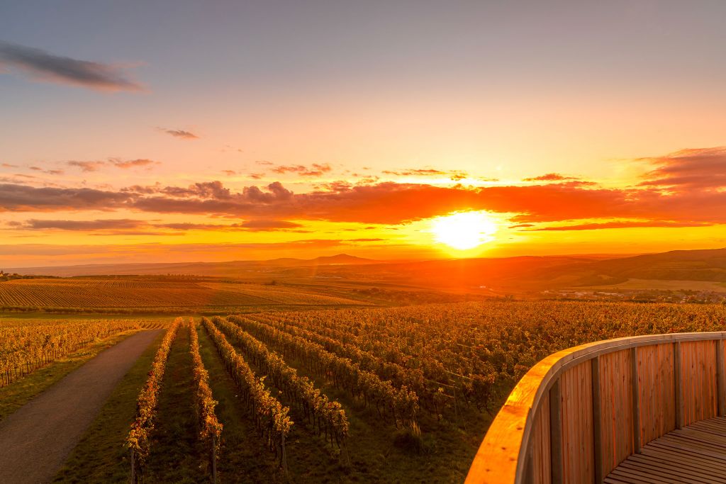 Vinařská obec Kobylí - Dědina bohatá líbezným folklórem Vás zve k ...